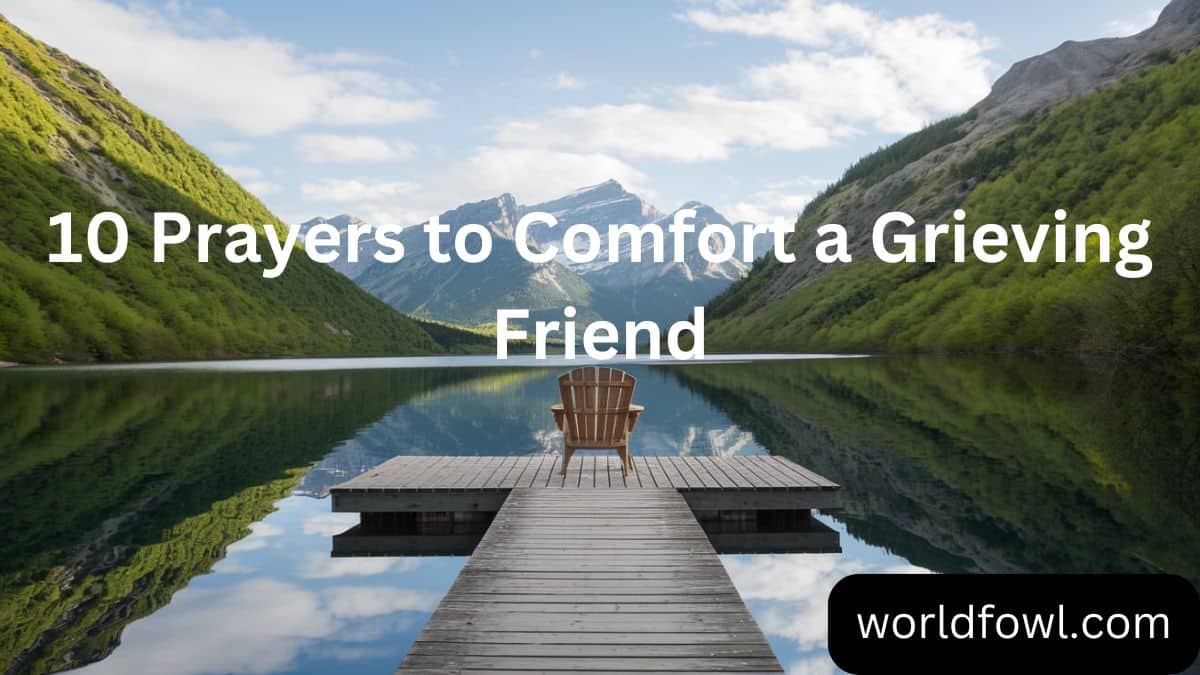 115 Comforting Messages and Short Prayers for Grieving Family.