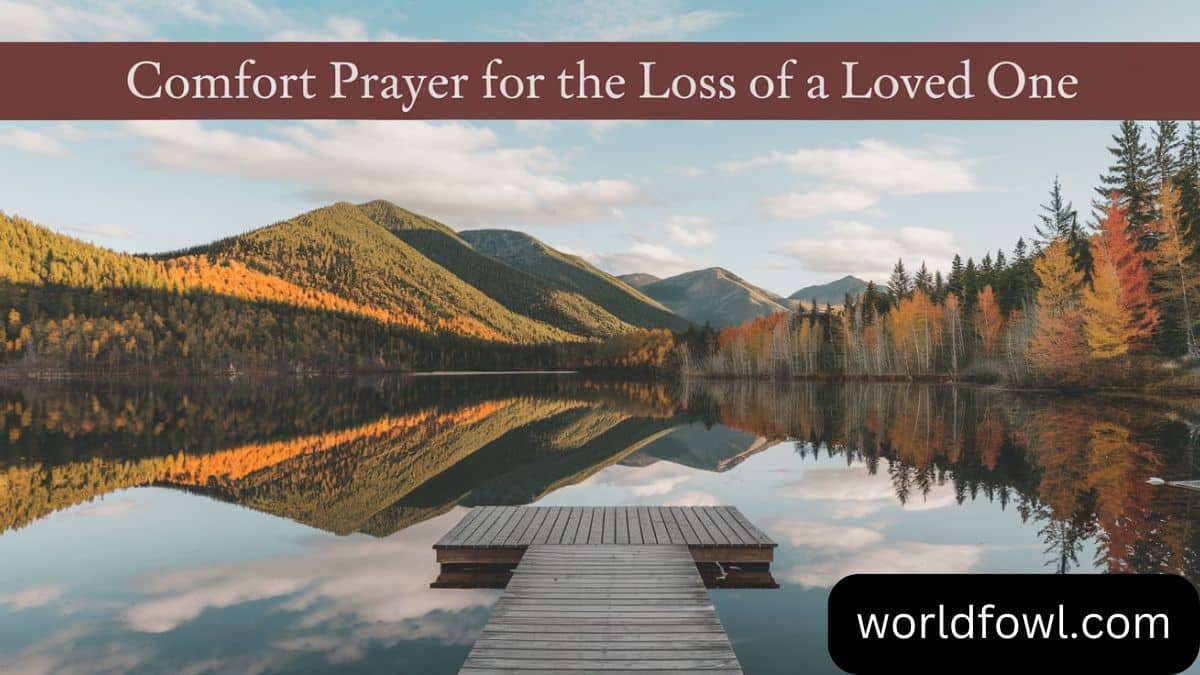 115 Comforting Messages and Short Prayers for Grieving Family.