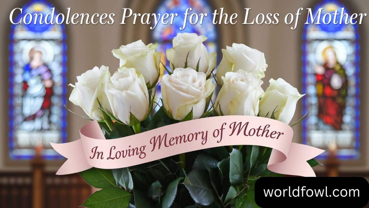115 Comforting Messages and Short Prayers for Grieving Family.